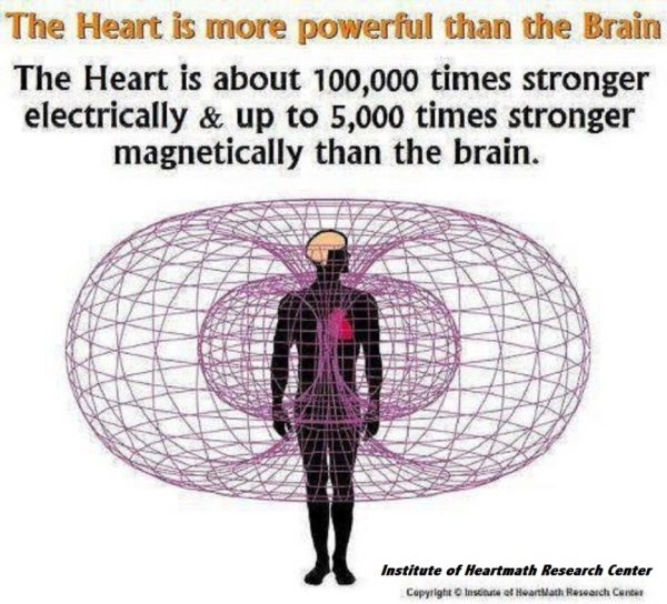 How to thrive when you are an Hypersensitive Person