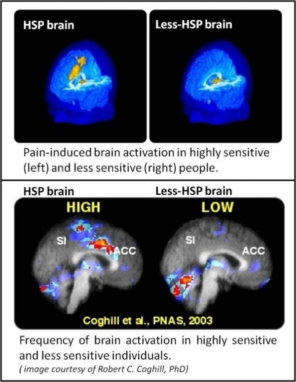 How to thrive when you are an Hypersensitive Person